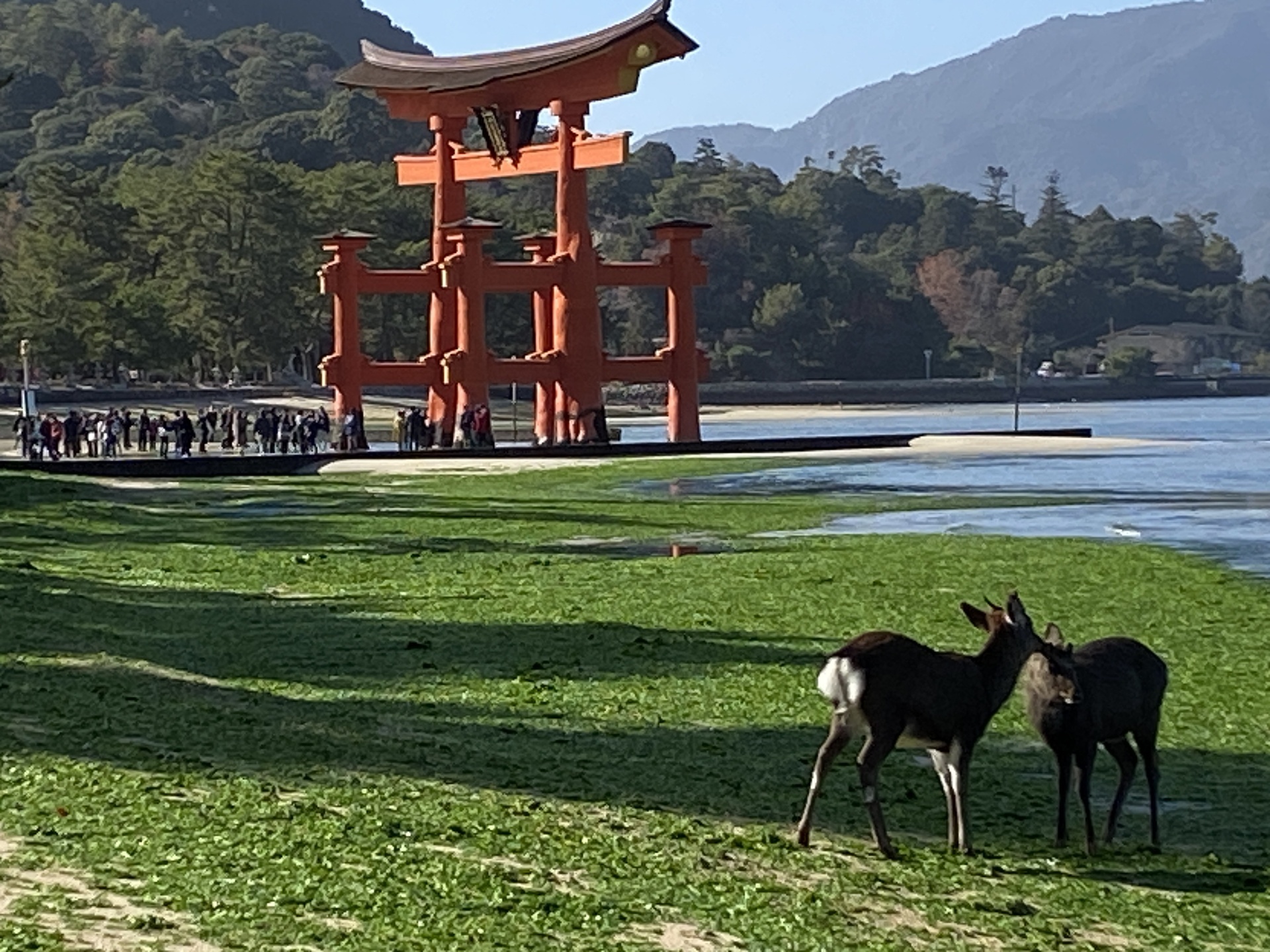 北京で勇気十足